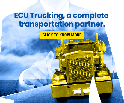 ECU Worldwide: Leading International Cargo & Air Freight Logistics Company